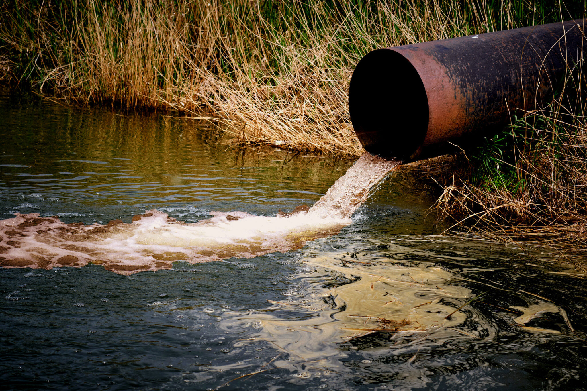 Water Cases – Join the Fight